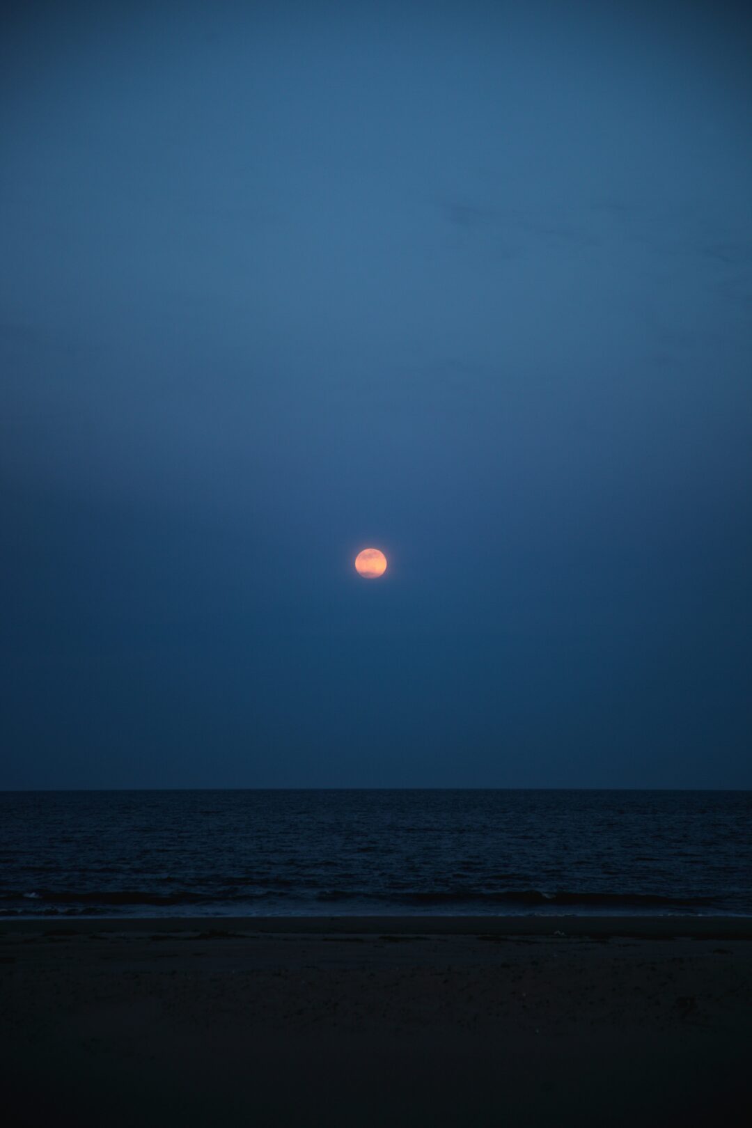 Protecting Sea Turtles from the Hazards of Light Pollution - Sea Turtle ...