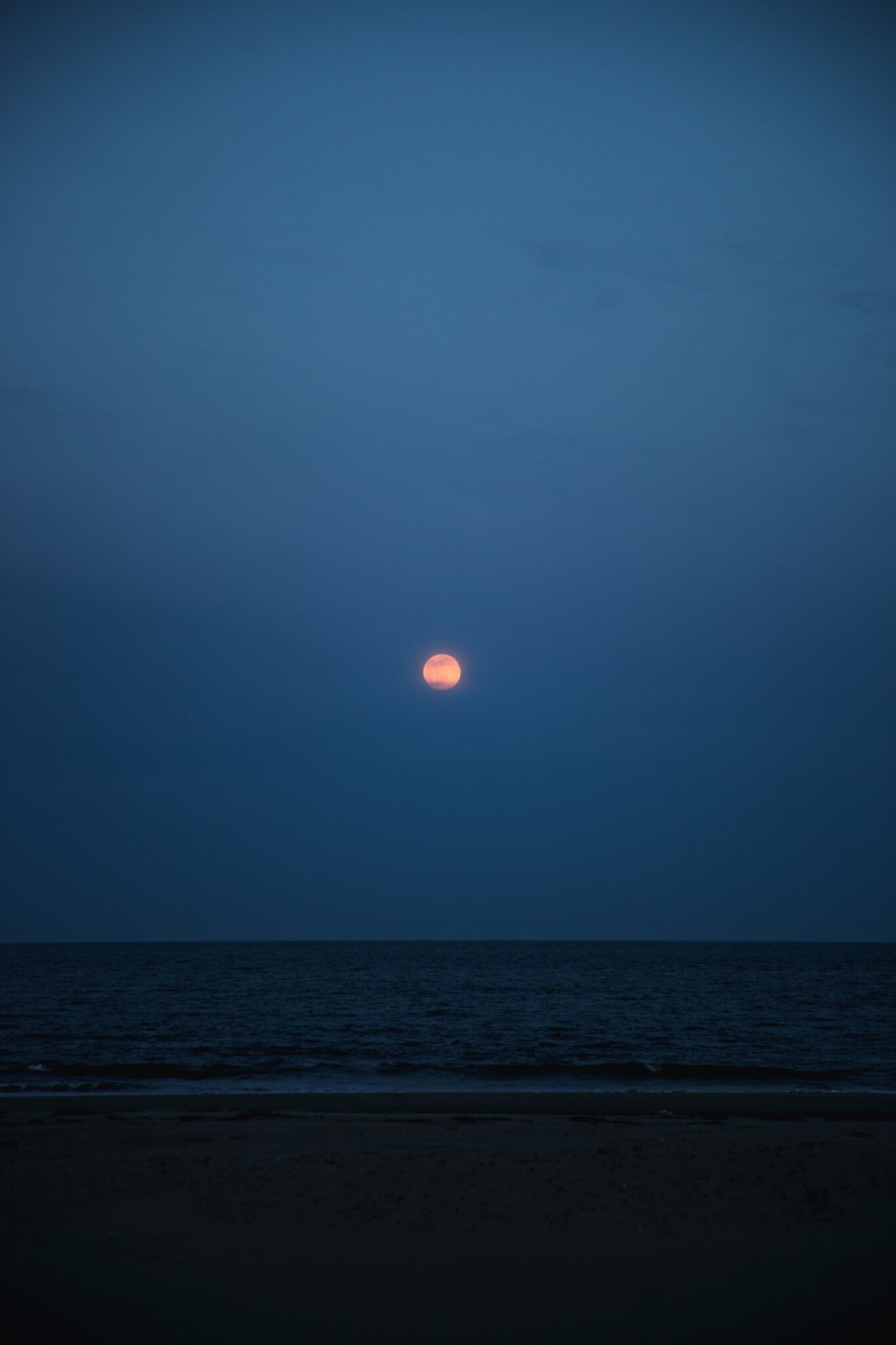 Protecting Sea Turtles from the Hazards of Light Pollution - Sea Turtle ...