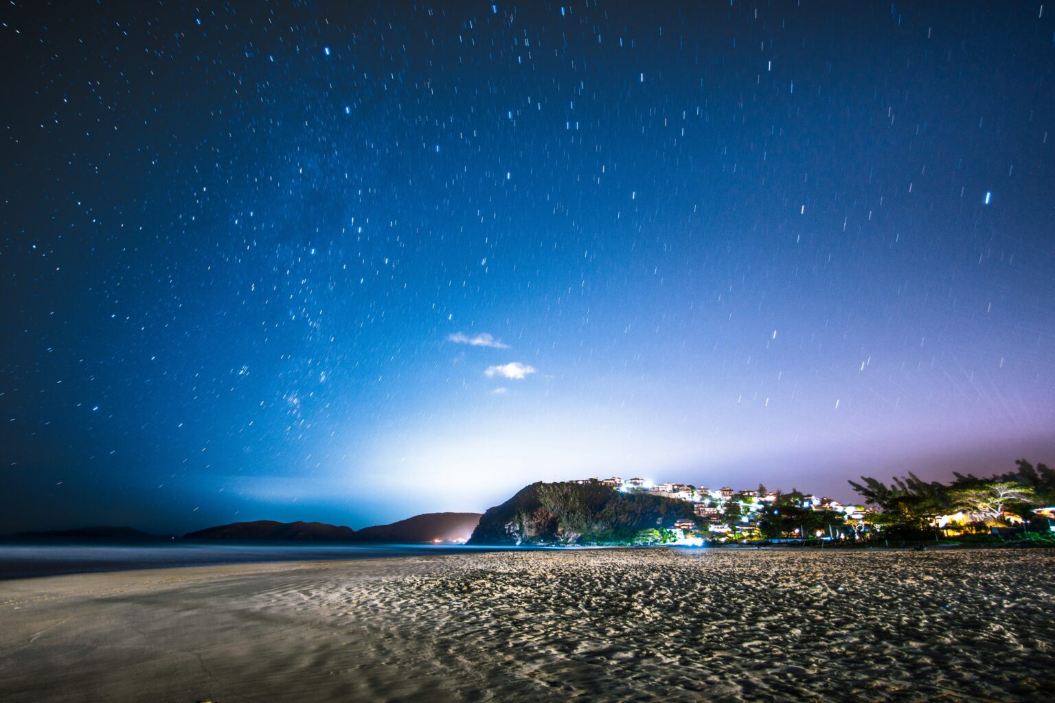 Protecting Sea Turtles from the Hazards of Light Pollution - Sea Turtle ...